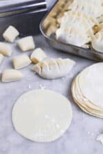 8 Must-Try Homemade Gyoza Recipes Better Than Takeout | Sudachi