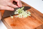 What is Negi? Differences Between the Various Types and Their Uses ...