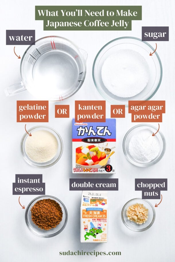 Easy Japanese Coffee Jelly (with plant-based options) | Sudachi