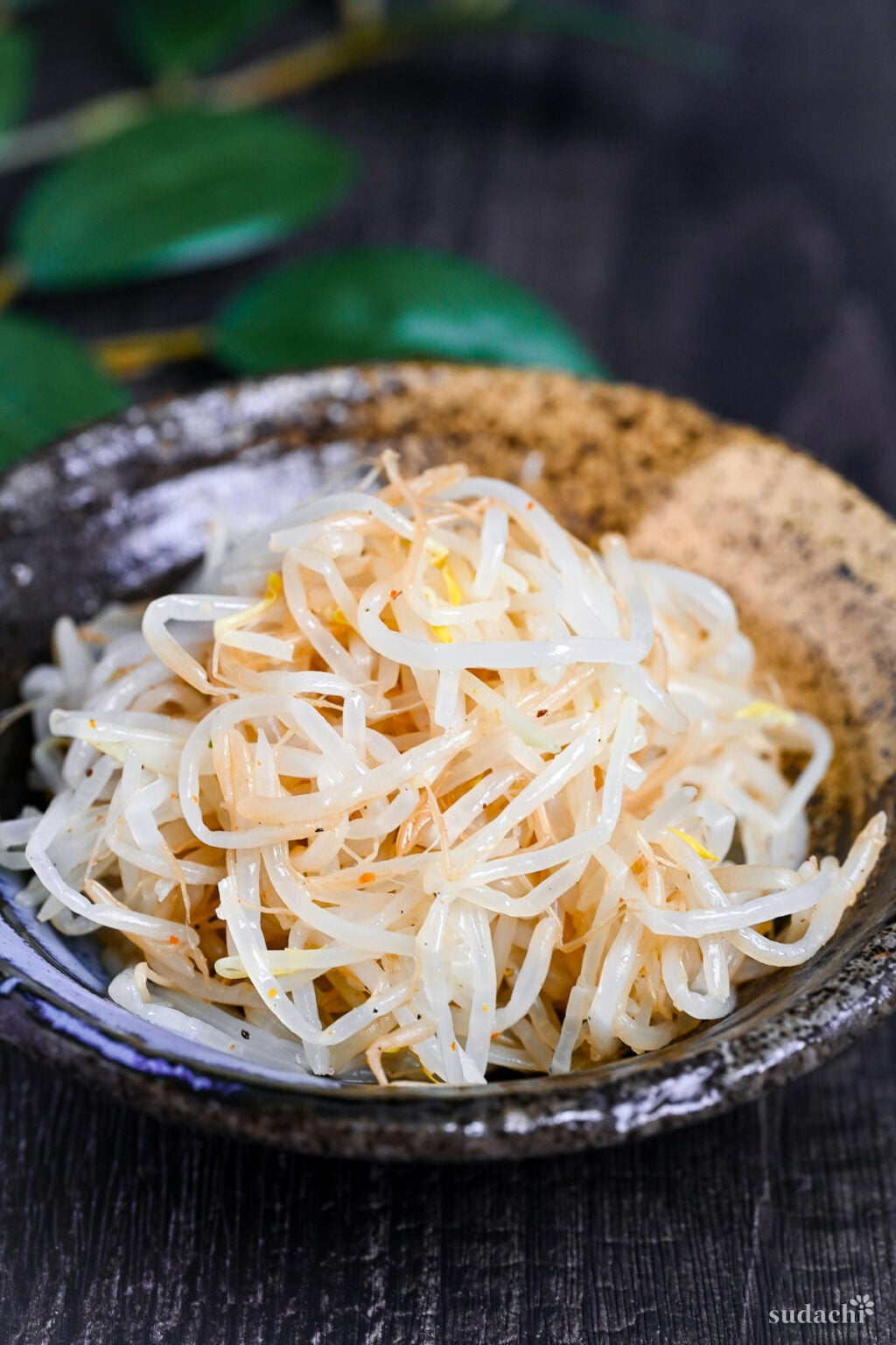 Spicy Seasoned Bean Sprouts for Ramen | Sudachi