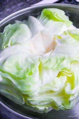 Japanese Style Cabbage Rolls (Roru Kyabetsu)