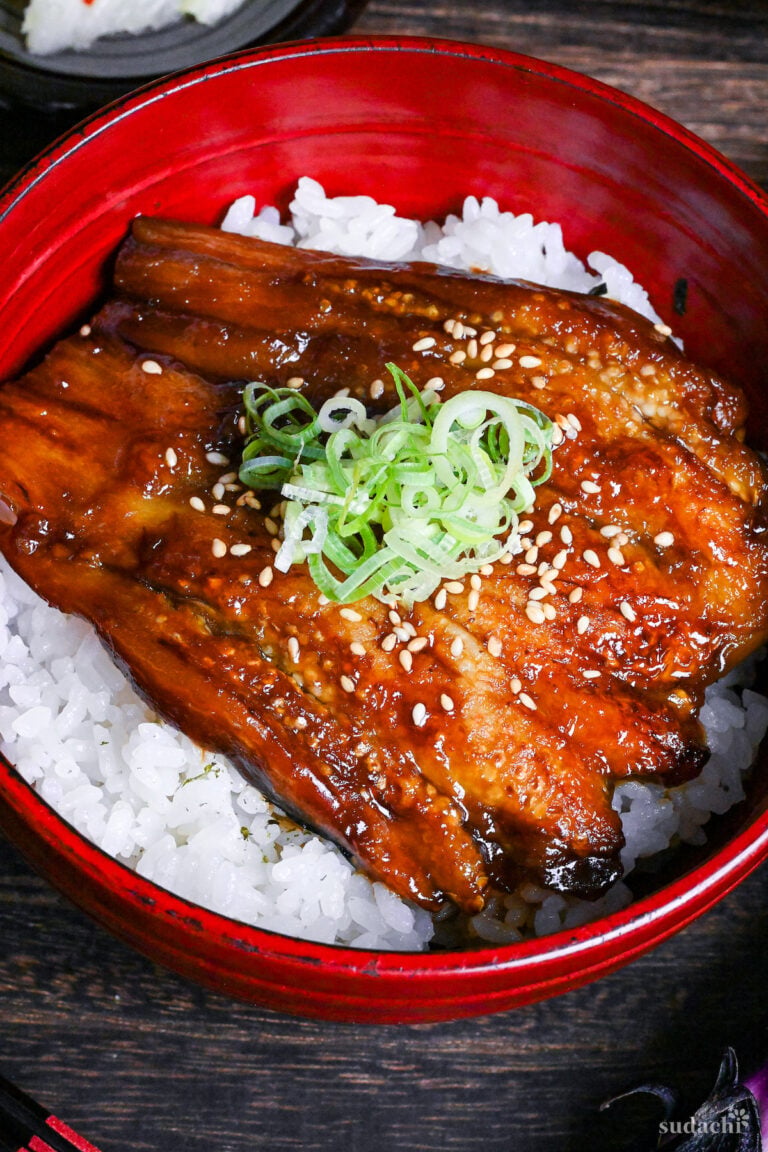 10 Simple Japanese Eggplant Recipes Your Family Will Love | Sudachi