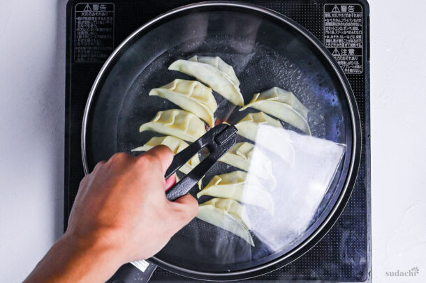 Crispy Pork Gyoza (Japanese Pan Fried Dumplings) Recipe