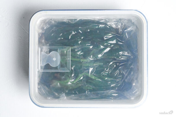 Spinach Ohitashi (Japanese Spinach Salad in Dashi) | Sudachi