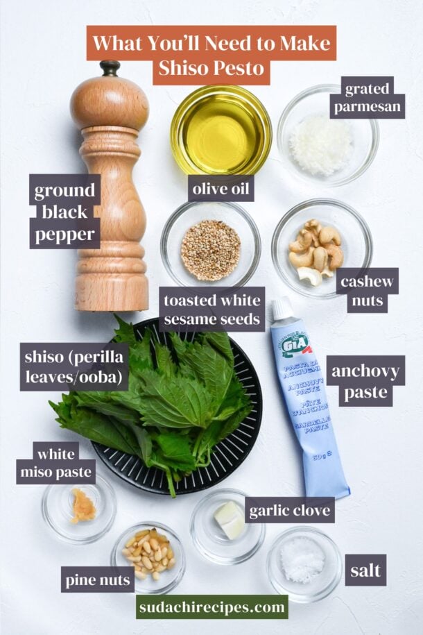 Cold Shiso Pesto Pasta | Sudachi